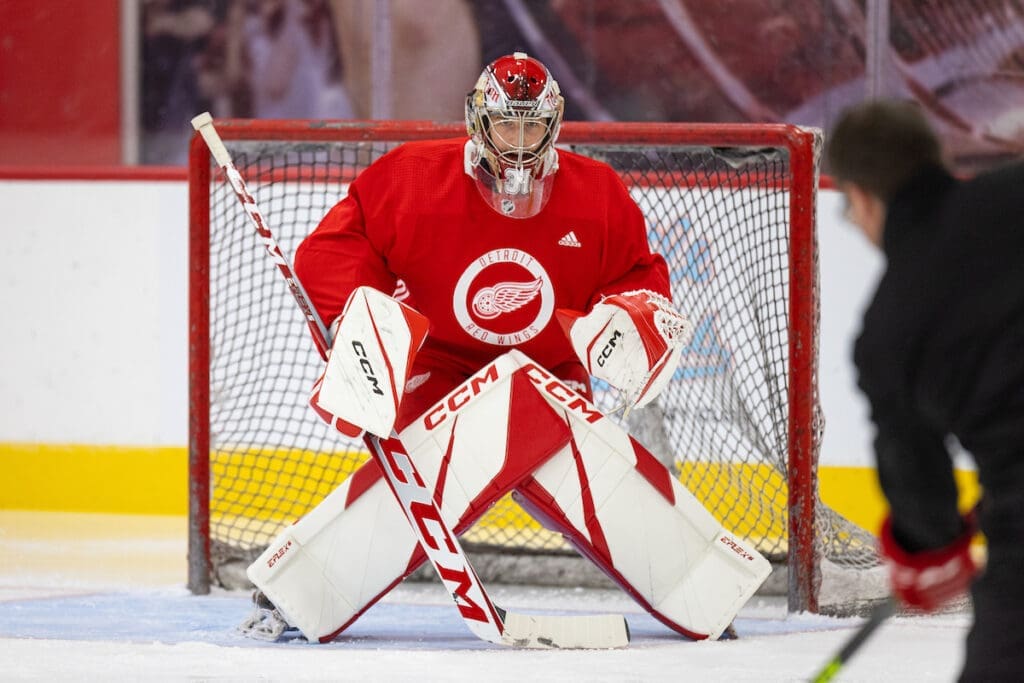 Red Wings Prospect Report: Bednar Top ECHL Goalie; Gibson Gains OHL Recognition